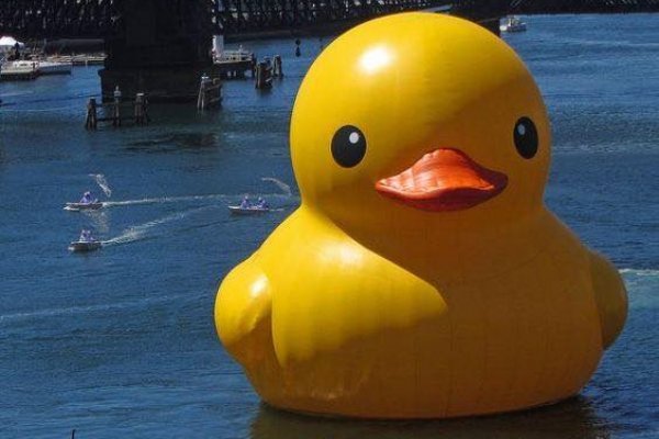 El Pato de Hule está de vuelta: ya se encuentra en Valparaíso ...