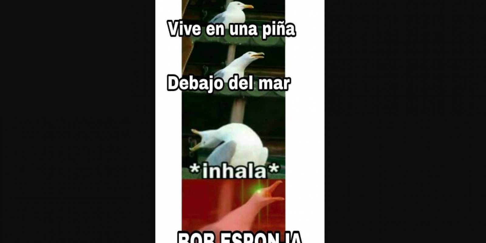 Este es el origen del meme de la gaviota *inhala* y estos son los ...