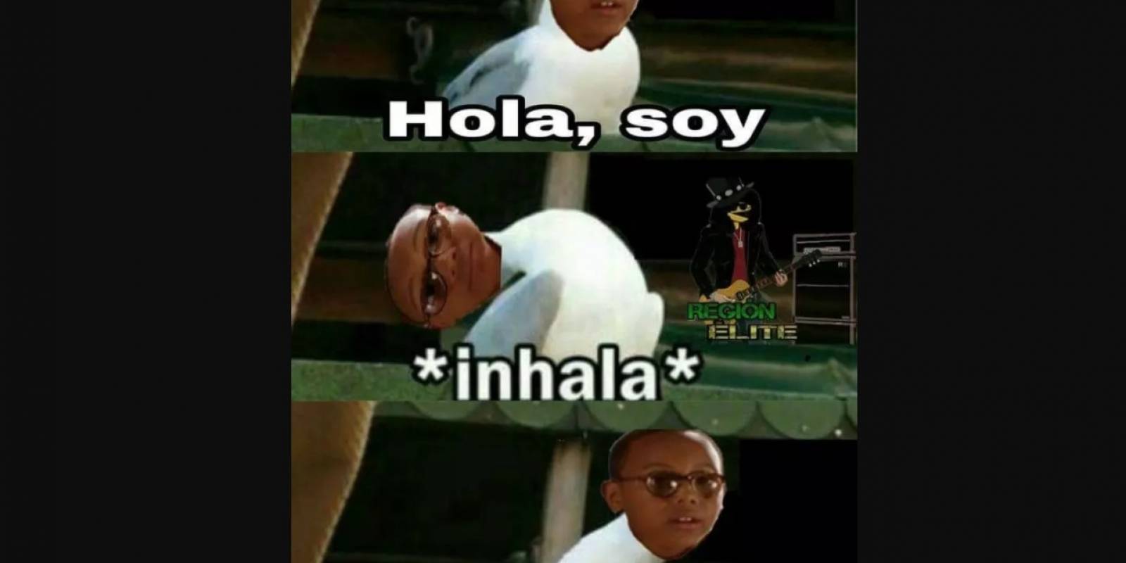 Este es el origen del meme de la gaviota *inhala* y estos son los ...