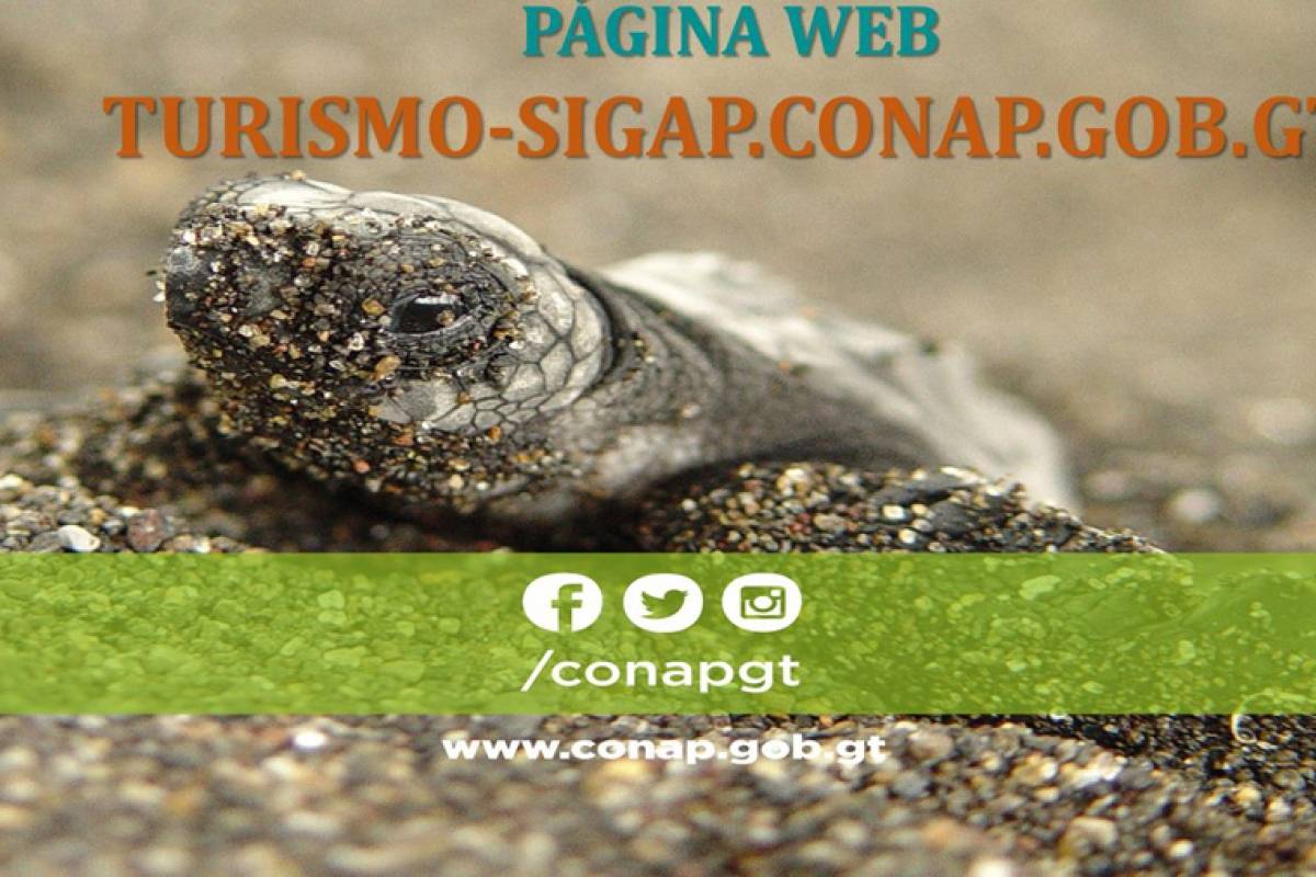Conap lanza sitio web para promover áreas protegidas | Publinews