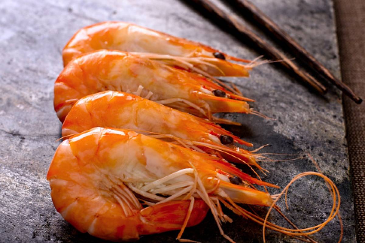 Camarón ecuatoriano podría convertirse en atractivo para nuevos ...