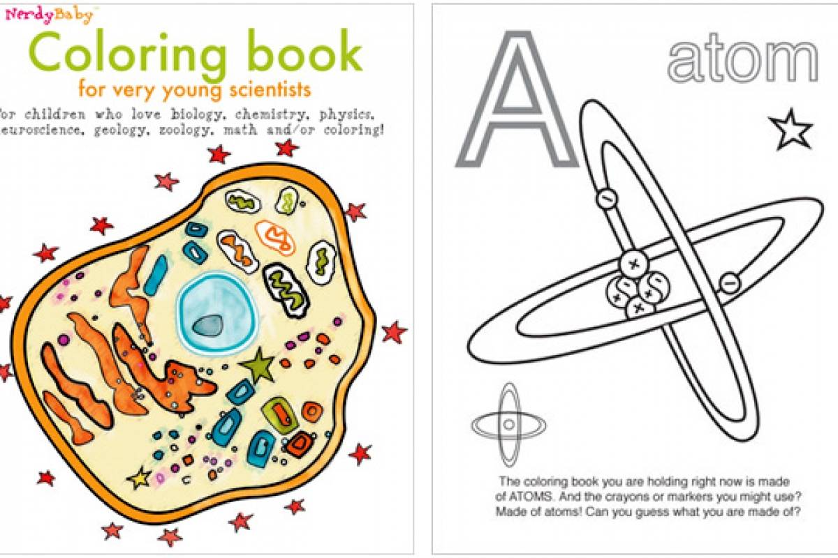 Libro coloreable para jóvenes científicos