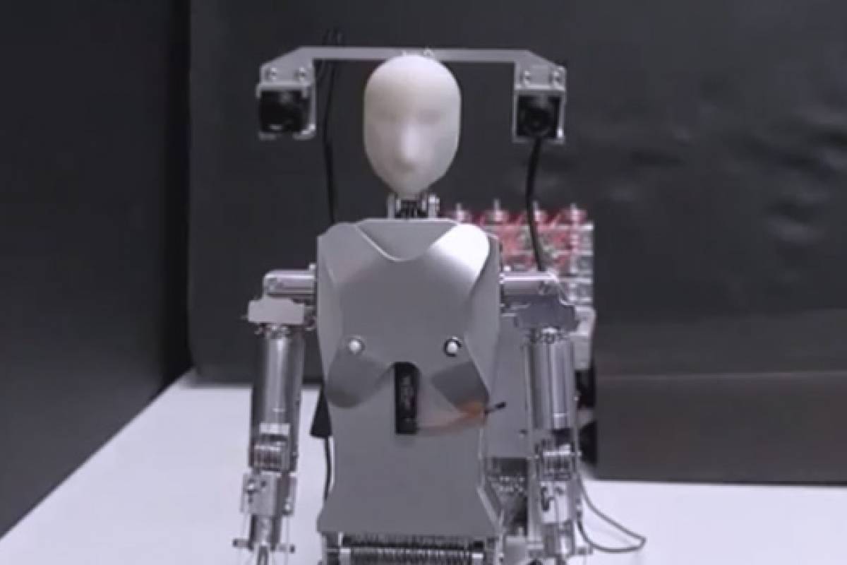 Robot compañero se sienta en tu hombro y te ayuda a conversar