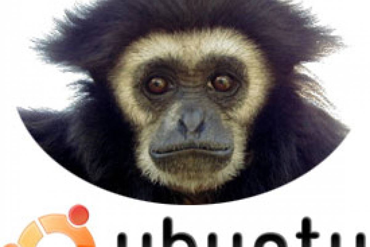 Los planes del nuevo Ubuntu 7.10: "Gutsy Gibbon"