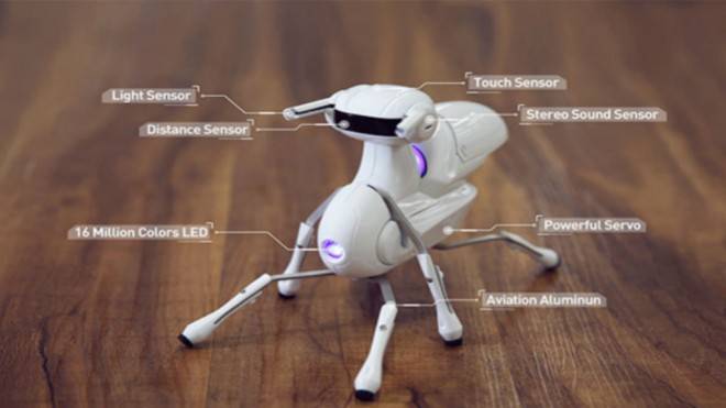 Conoce a Antbo, robot insecto que podremos armar en casa