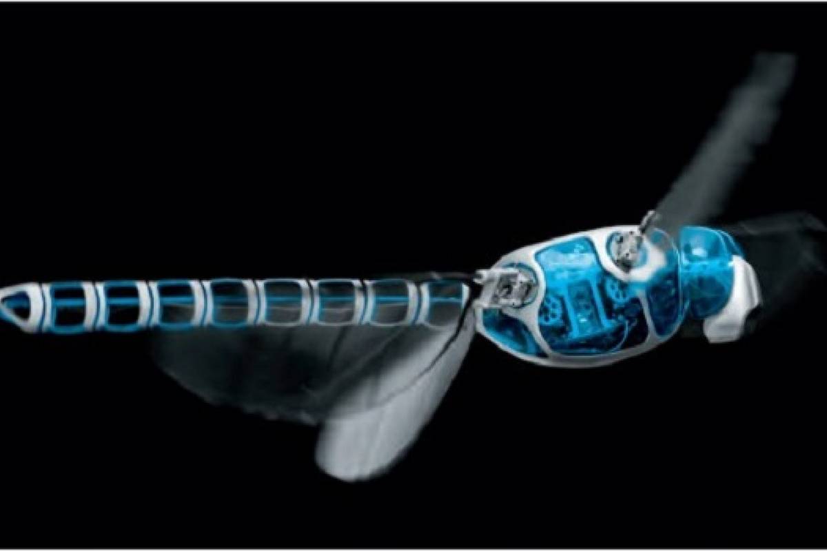 BionicOpter: El robot libélula a control remoto