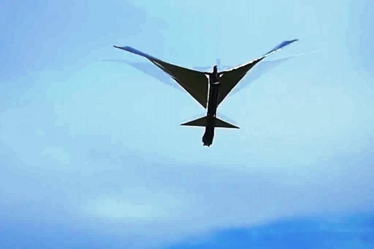 Conoce a Robo Raven: El primer robot pájaro que vuela realmente como ave