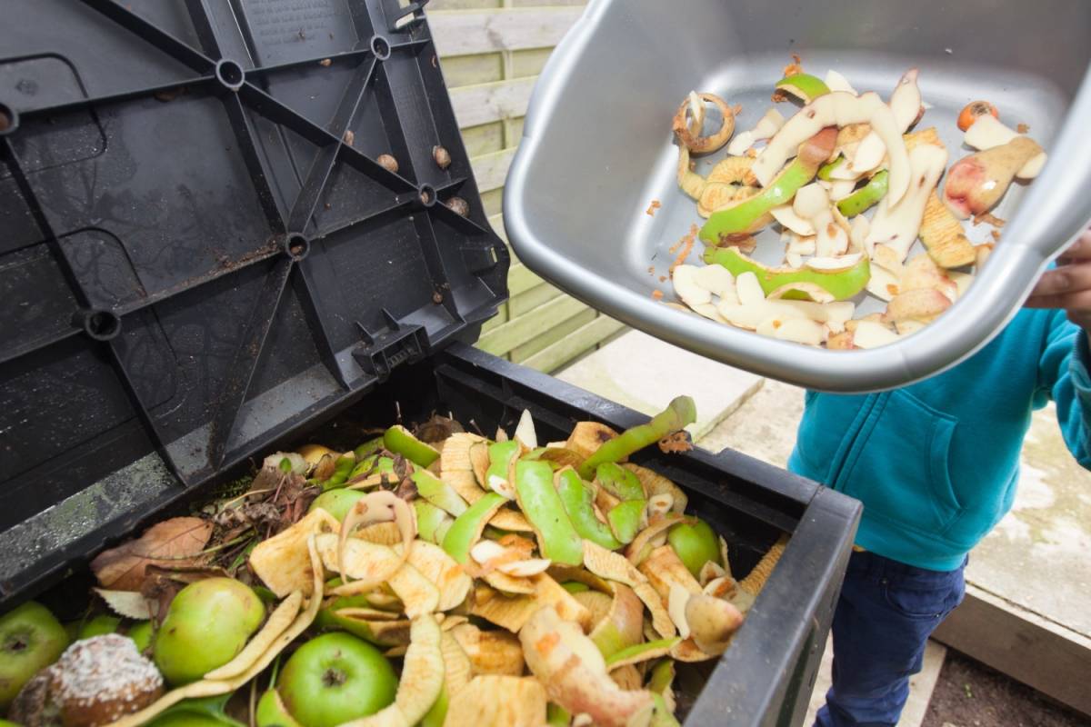 Wasted!: El documental del chef Bourdain que te enseñará a no botar la comida - Sabrosía | Nueva ...