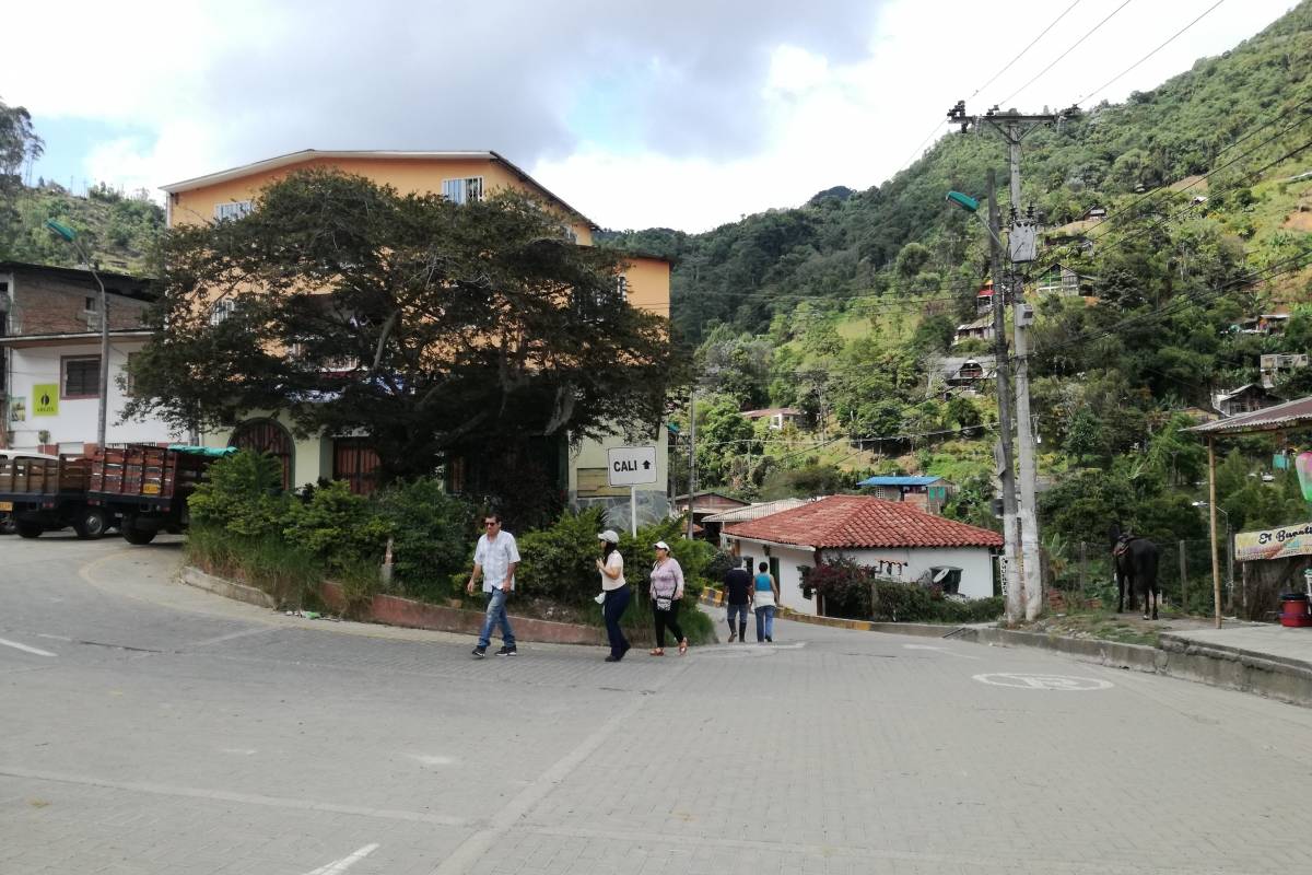 Felidia, viaje a un paraíso en medio de la montaña | Publimetro Colombia