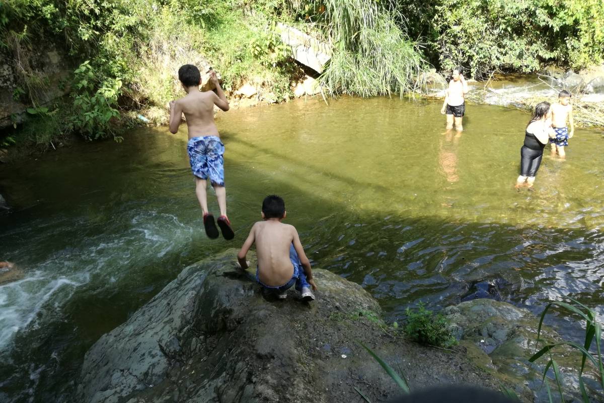 Felidia, viaje a un paraíso en medio de la montaña | Publimetro Colombia
