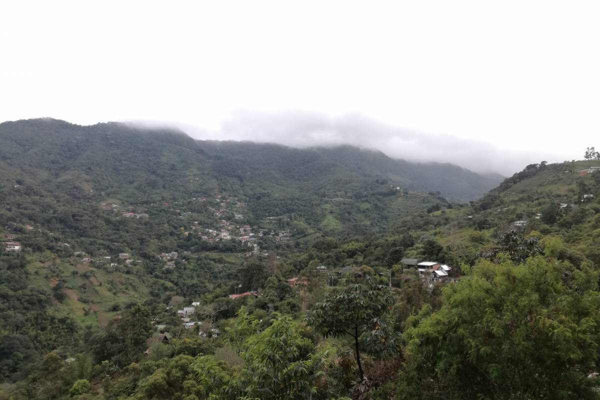 Felidia, viaje a un paraíso en medio de la montaña | Publimetro Colombia