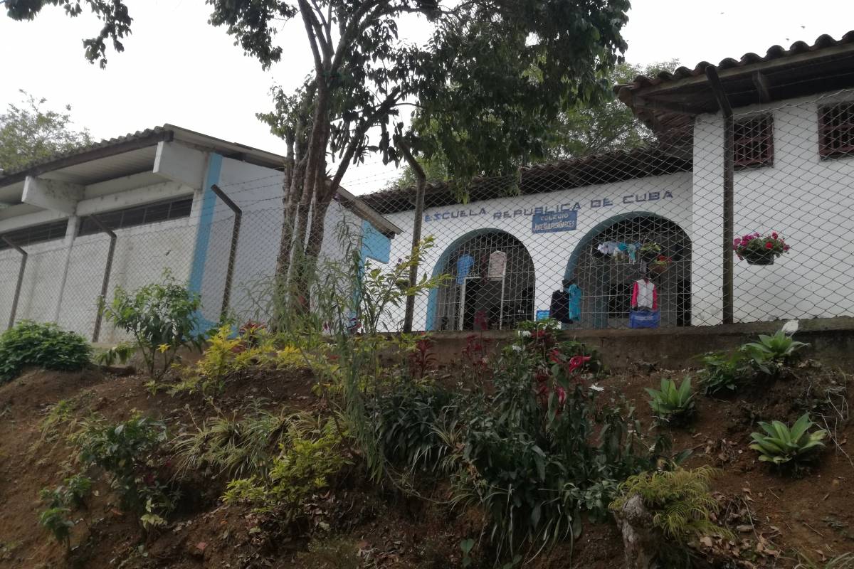 Felidia, viaje a un paraíso en medio de la montaña | Publimetro Colombia