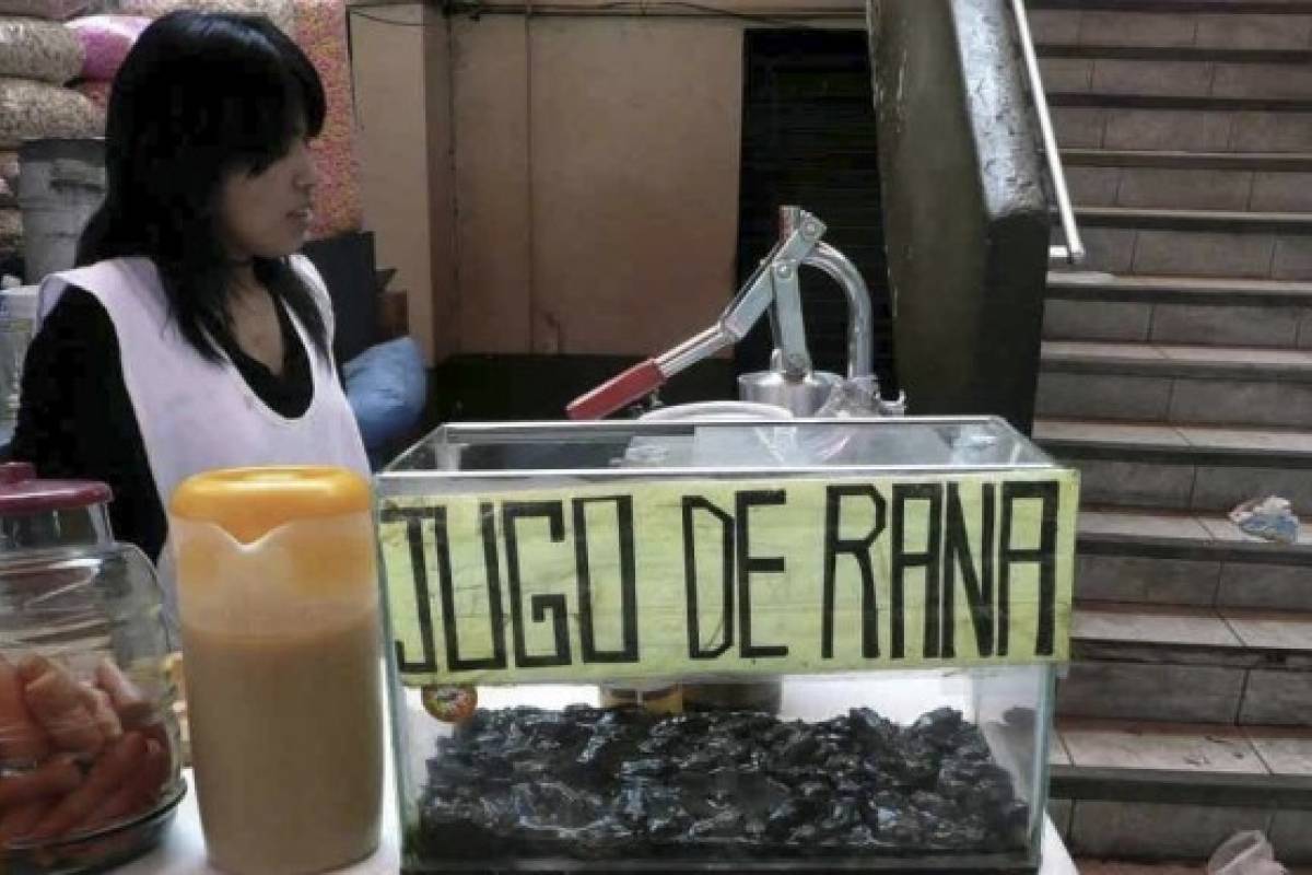 El licuado de rana y otras actividades ilegales amenazan la ...