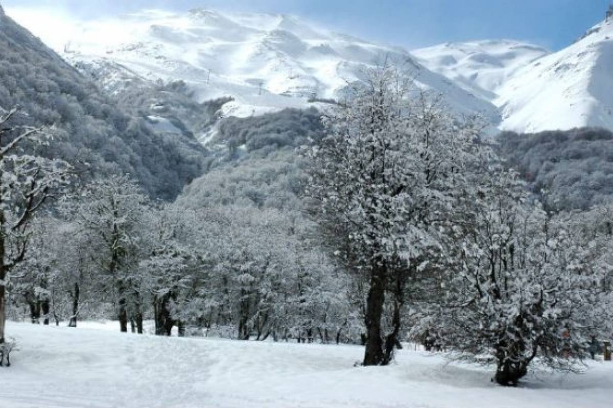 El sur de Chile también seduce a los turistas en los meses de invierno ...