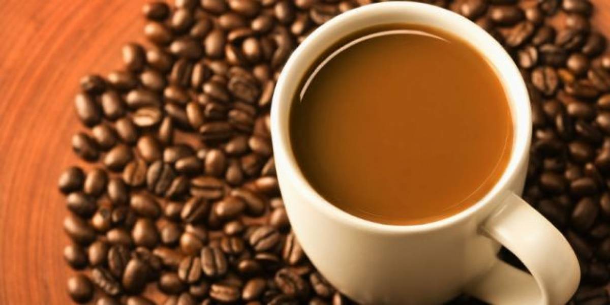 ¿Te encanta el café? Nueva atracción cafetalera en Maricao