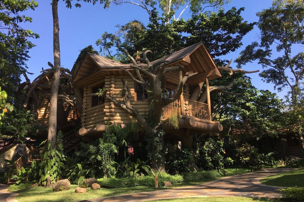 Disfruta de la noche en medio de la selva en los nuevos hostales del ...