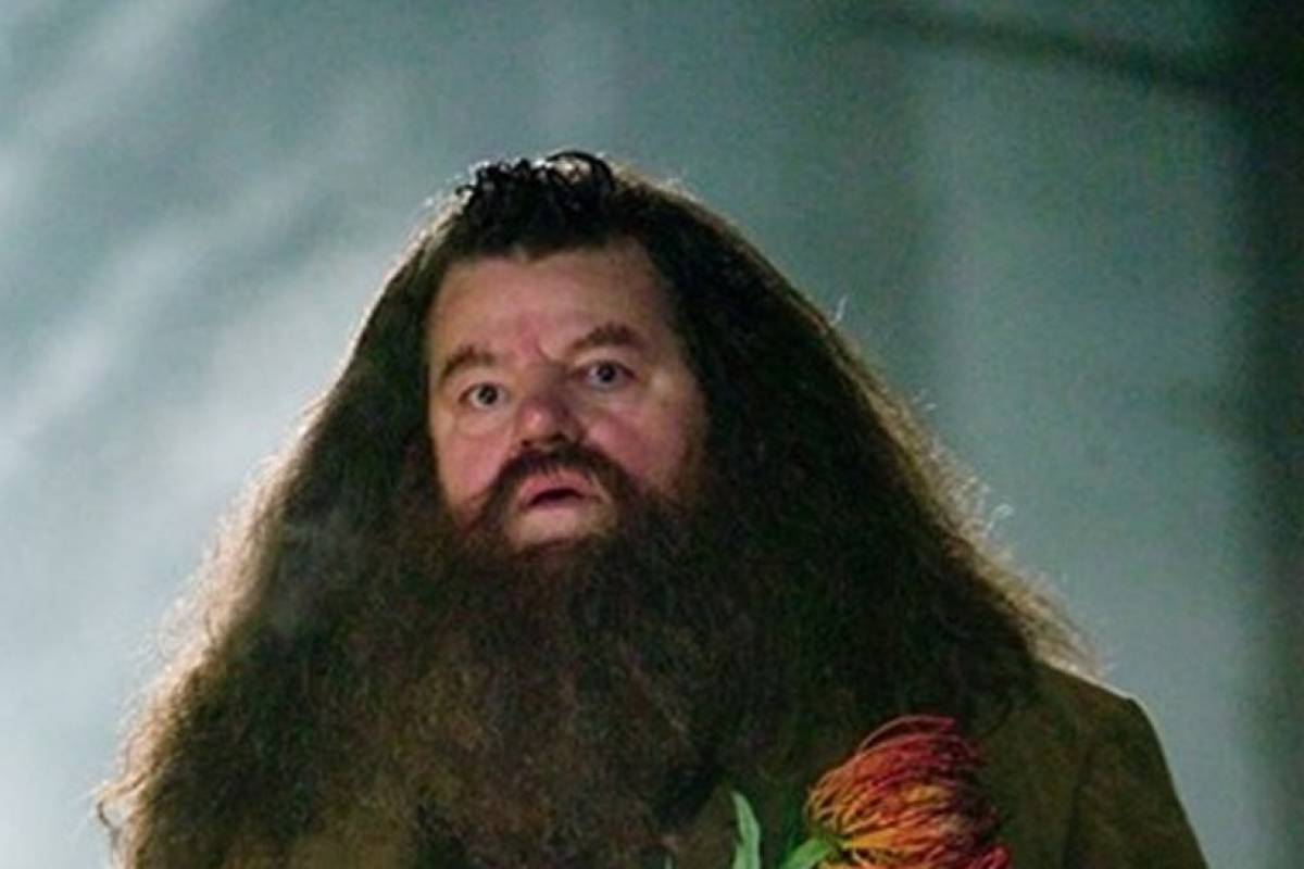 “Hagrid” de Harry Potter pierde la batalla contra dolorosa enfermedad ...