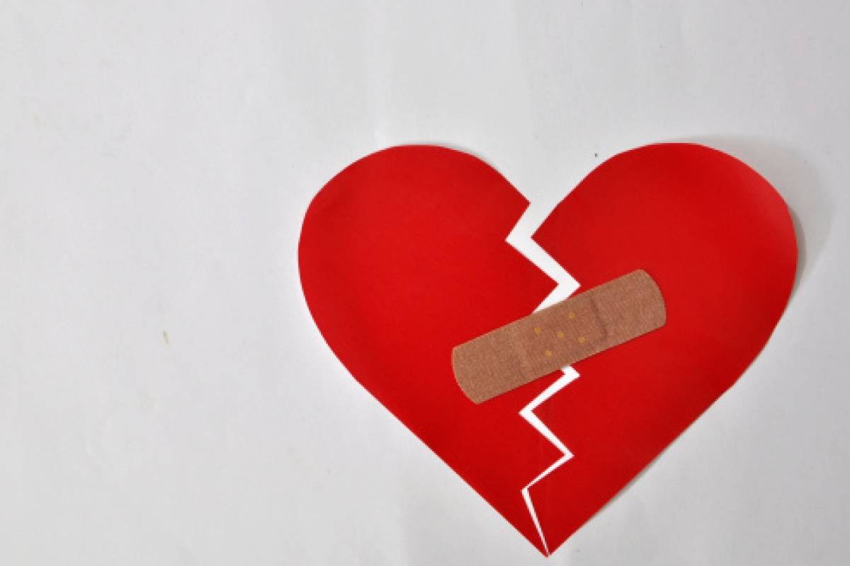 Increíble avance científico: inventan solución para reparar de forma ...