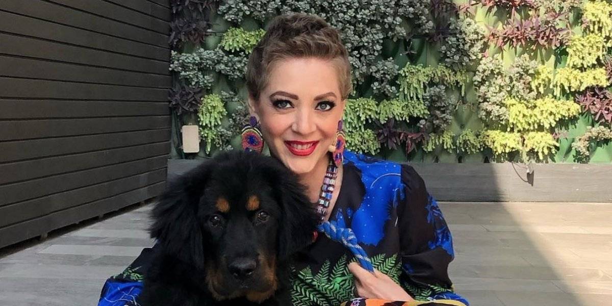 "Doña Bárbara", "Salomé" y más: Los personajes más emblemáticos de ...