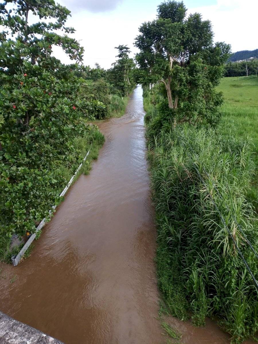 Río Blanco de Naguabo sale se su cauce a causa de fuertes lluvias | Metro