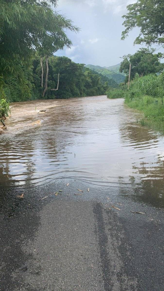 Río Blanco de Naguabo sale se su cauce a causa de fuertes lluvias | Metro