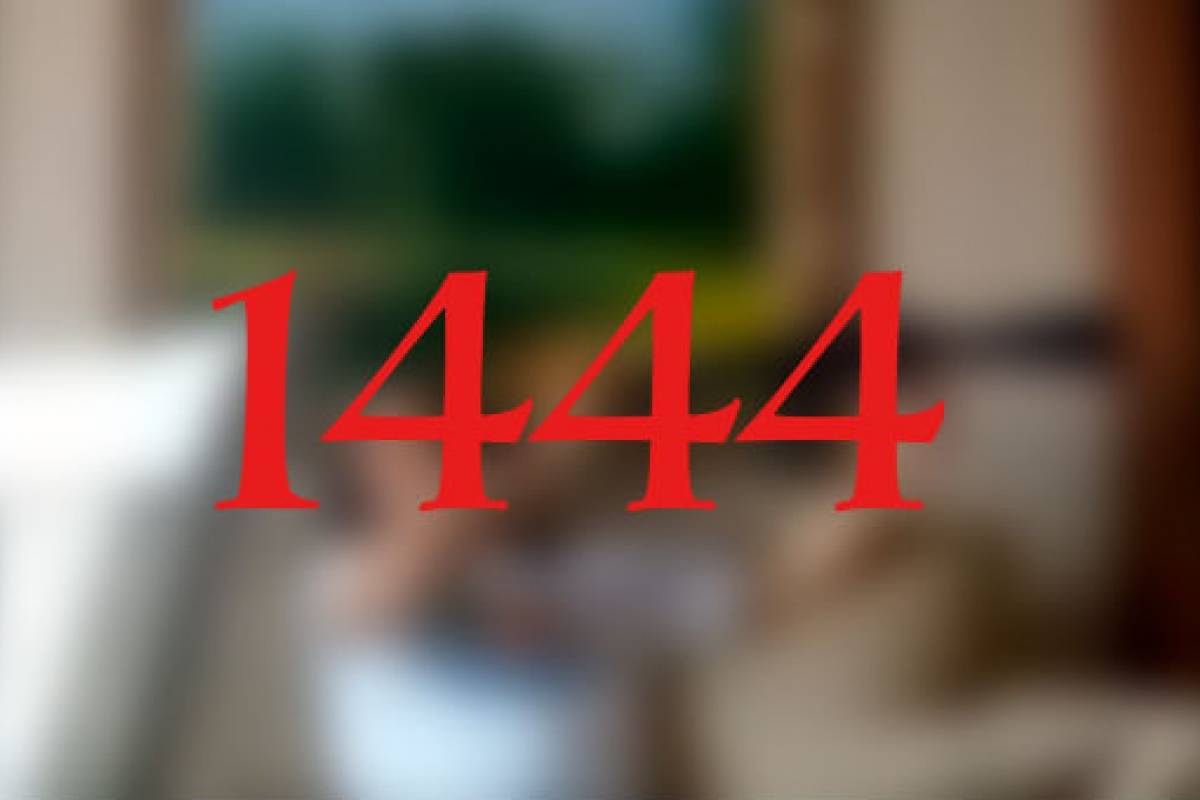 ¿Qué pasa si buscas video 1444 en en Youtube o facebook? | Publimetro ...