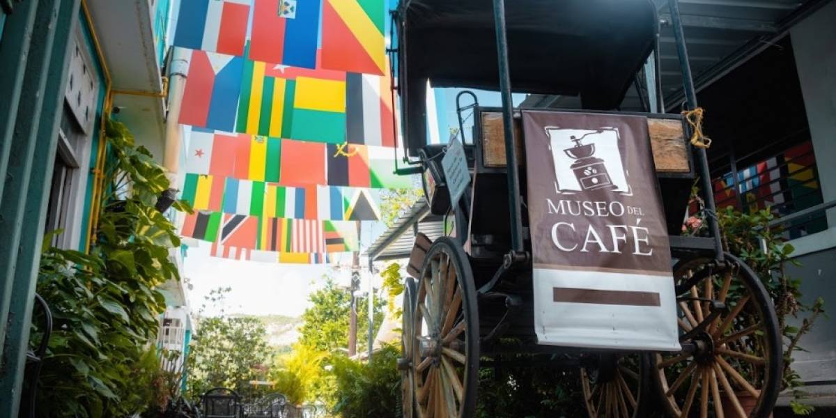 Don Pello: un café boricua excepcional | Metro