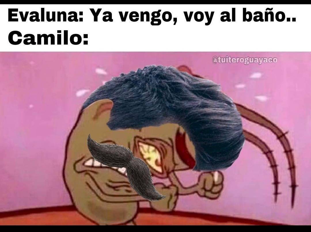 Por un escrito romántico de Camilo a Evaluna se desataron todos los ...