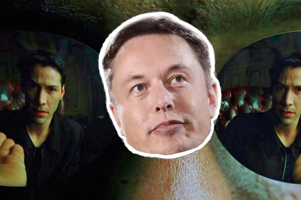 Elon Musk usa a The Matrix para promover a Trump y creadora de la ...