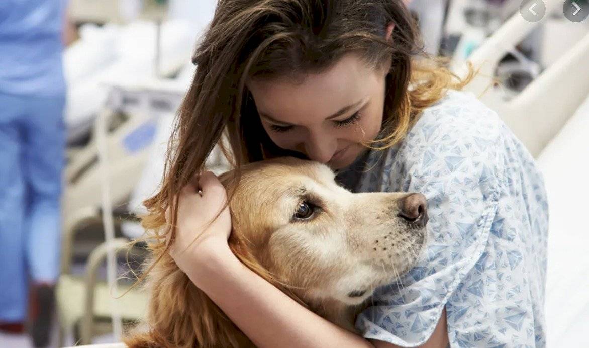 La mirada de tu perro revela cuánto te ama, según expertos | Activo ...