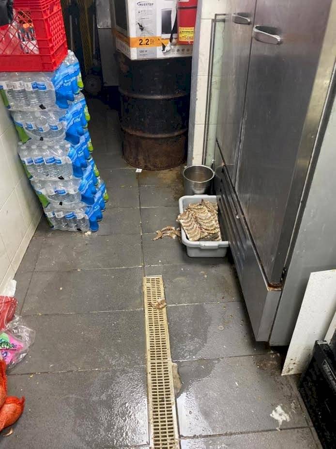 FOTOS: Cocinas sucias, comida expirada y todo lo que encontró Salud en ...