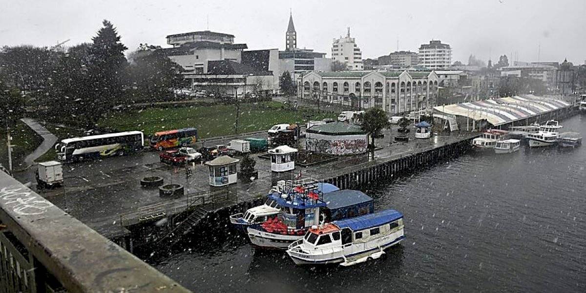 Nieve sorprende a los habitantes de Valdivia: usuarios comparten ...