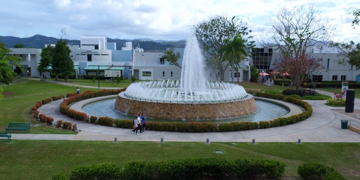 UAGM ofrecerá primer doctorado en Medicina Veterinaria en Puerto Rico ...