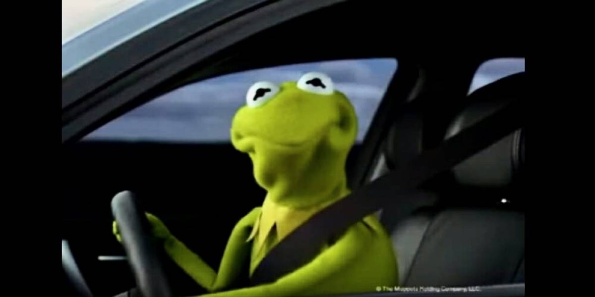 Los mejores memes de la Rana René y sus valiosas lecciones sobre ...