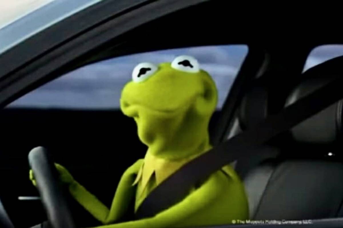 Los mejores memes de la Rana René y sus valiosas lecciones sobre ...