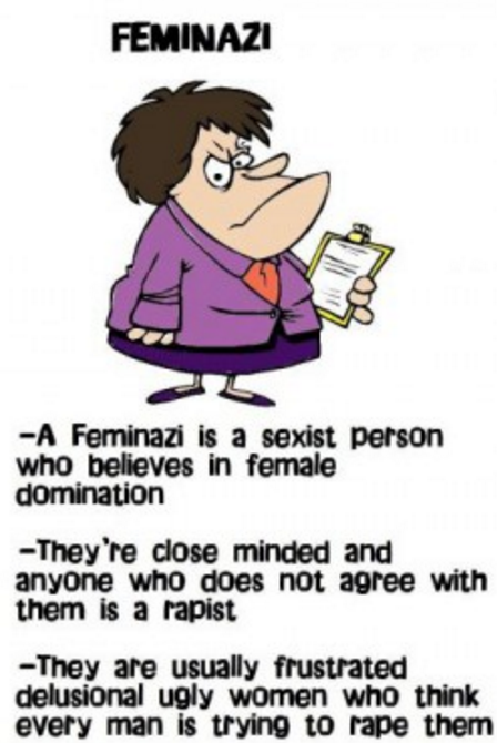 Qué es una feminista y que es una feminazi